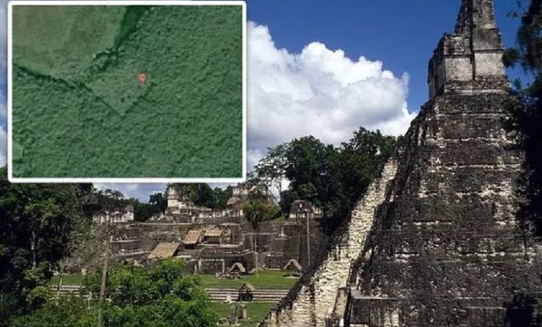 Un adolescente encontró la ciudad Maya perdida | ⚠️ UFO Community ⚠️